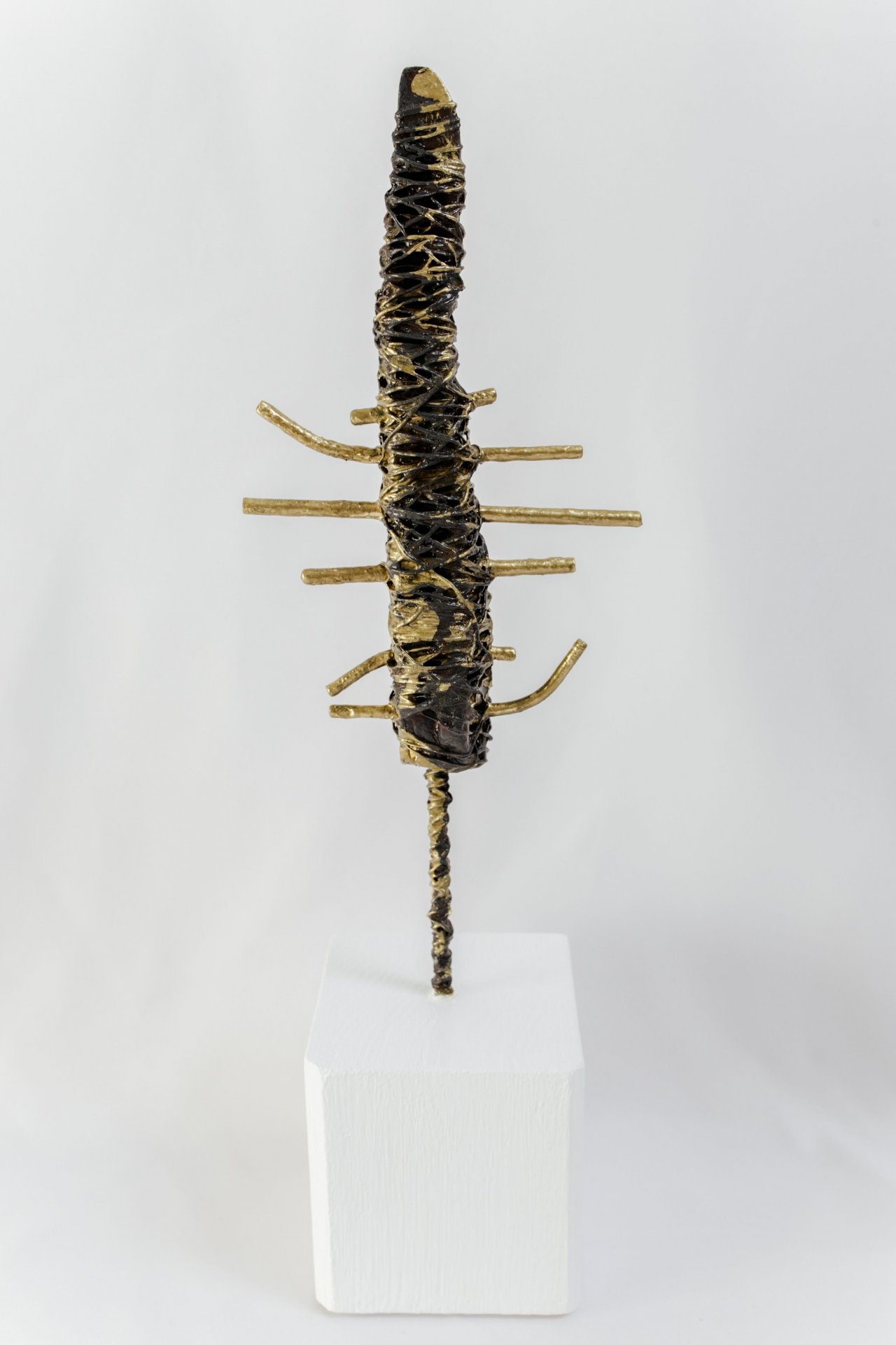 ARS ARTIS Kunstversandhaus und Edition Thomas Rieger Torso Thomas ...